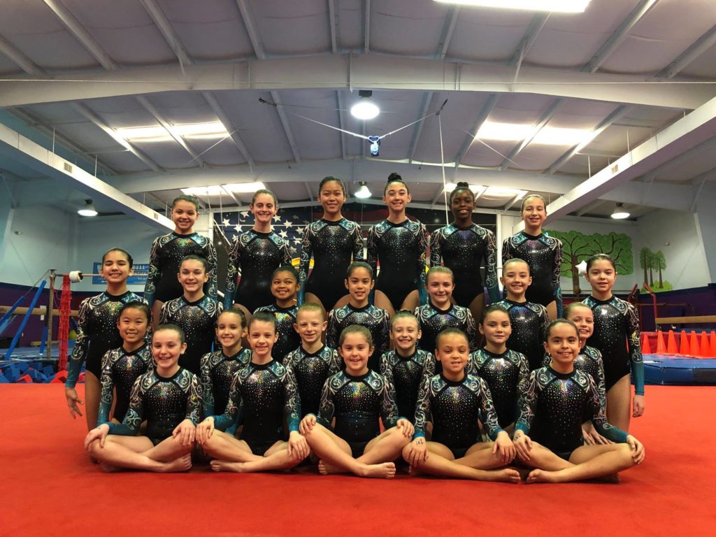 Competitive Gymnastic Team Training in Raleigh for Advanced Gymnasts